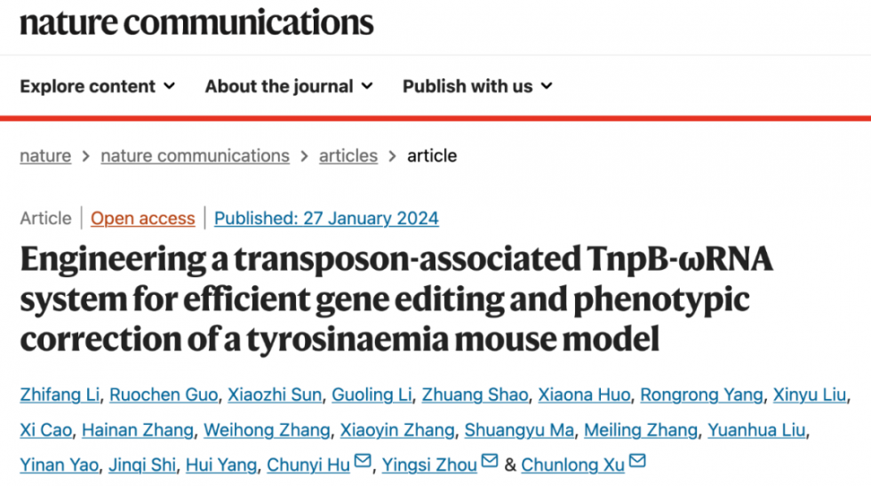 张然/李宁团队证实超小型TnpB系统可实现高效体内基因编辑 – 派真生物