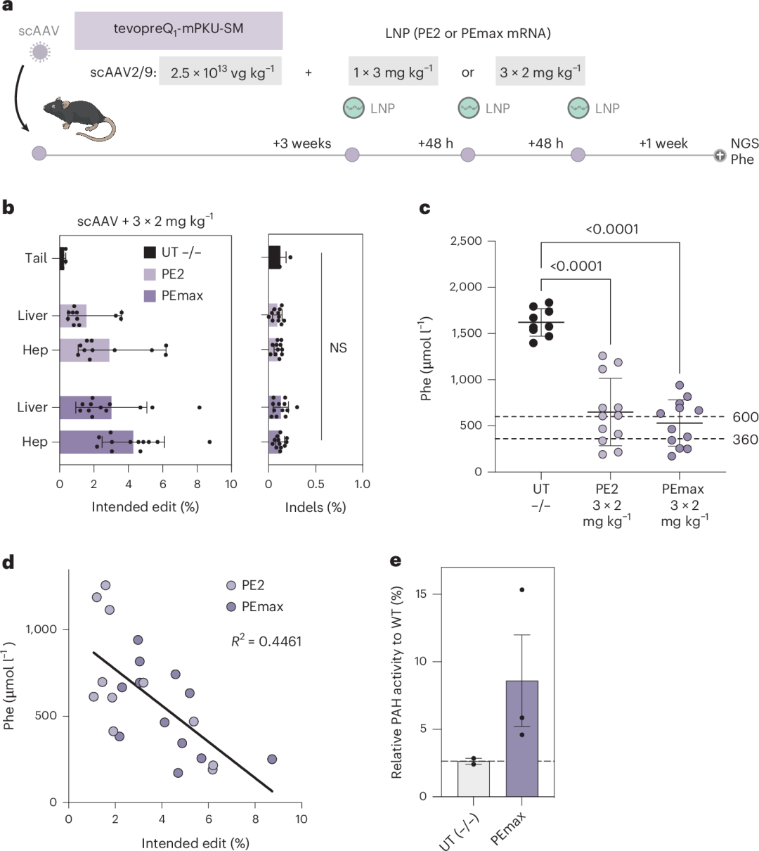 Nat Biomed Eng | Prime编辑结合多种递送策略治疗苯丙酮尿症 – 派真生物